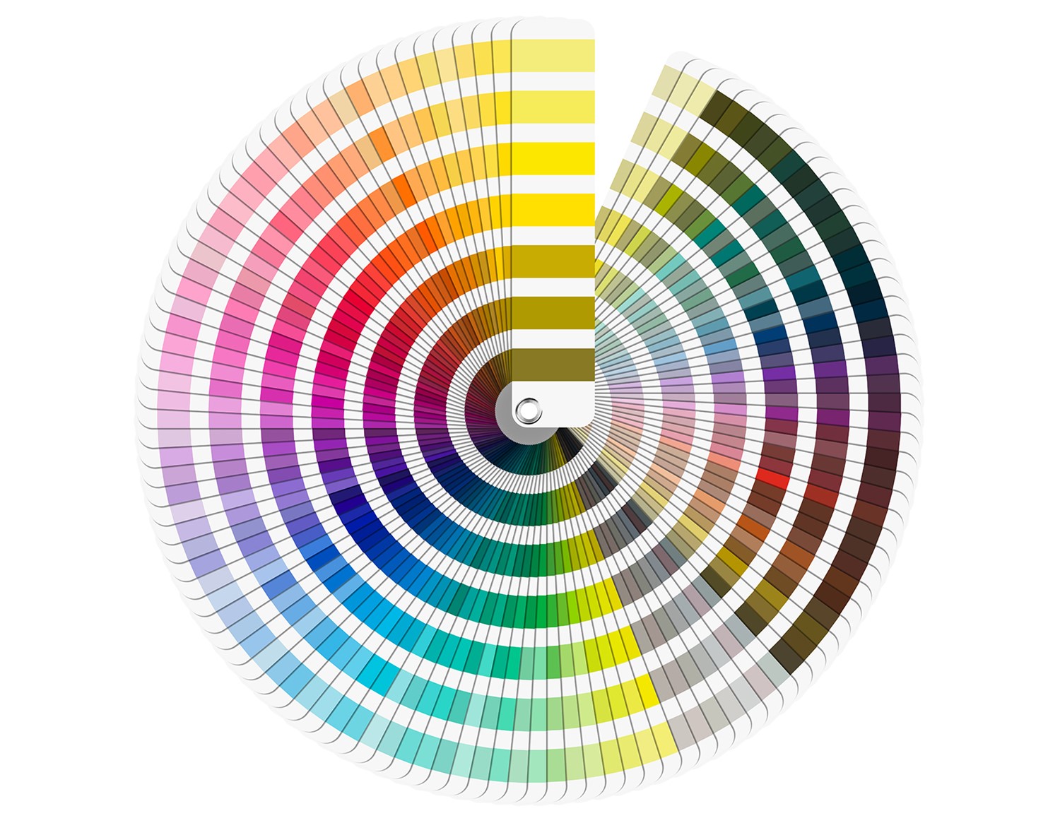 Pantone Color Chart | Label Tape Print